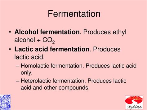 Homolaktische Und Heterolaktische Gärung Ppt