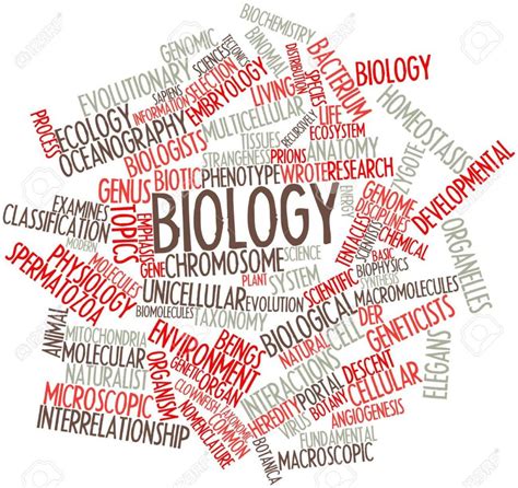 Phylum Mollusca Bioflyscience