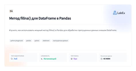 Мастерство в использовании метода Fillna для Dataframe в Pandas Labex