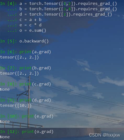 pytorch 叶子张量 leaf tensor 叶子节点 detach pytorch 叶子节点 csdn博客