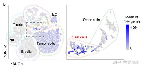 把bulk转录组的差异基因在单细胞水平都检查一遍 知乎