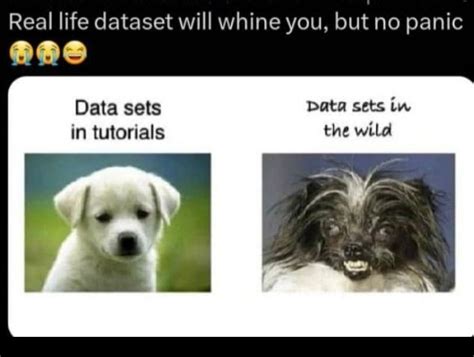 Fortune Egbai M Sc On Linkedin Datahumor Resilience Businessanalyst Growthmindset