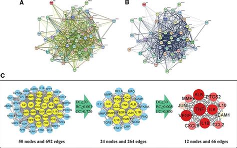 construction and screening of ppi network a ppi networks constructed