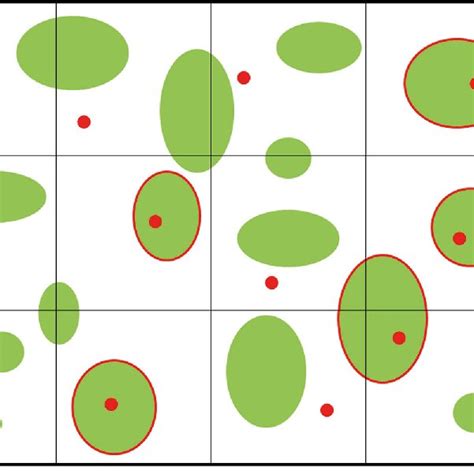 Example Of A Population Of Tree Plantations Sampled By Means Of