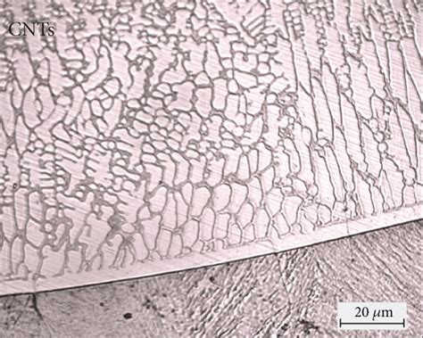 Cross Section Microscopy Of The Cladded Layer Of Reference Sample 1 A