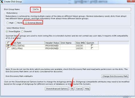 Oracle之rac搭建过程16 Asmca创建磁盘组 数据和fraoracle Rac 中asmca Csdn博客