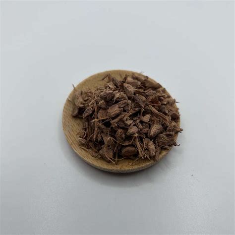 Galanga | Biomundus