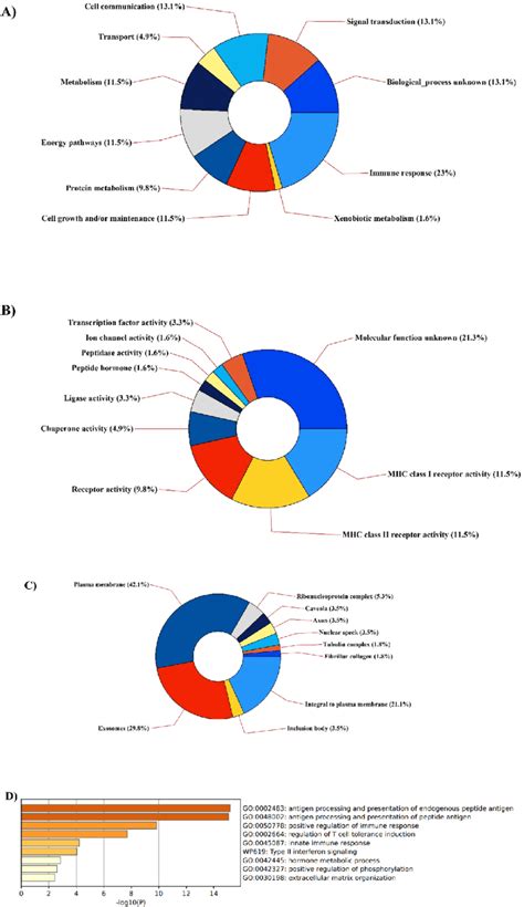 The Gene Ontology Go Functional Annotation Of Commonly Shared Degs Of