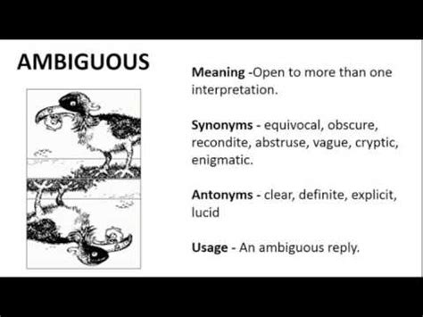 Vocabulary Made Easy Meaning of Ambiguous, Synonyms, Antonyms and its Usage - YouTube