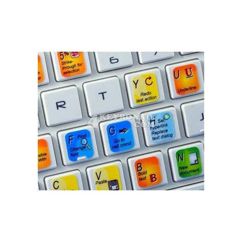 Microsoft Excel