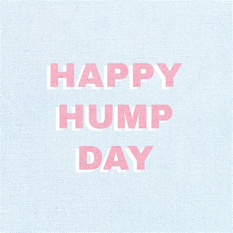 Hump Day Images Free Photos Png Stickers Wallpapers And Backgrounds
