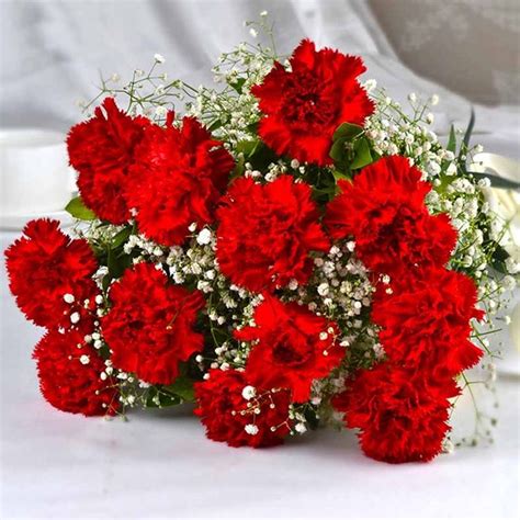 Red Carnation Flower Arrangements