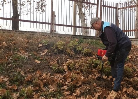 Electricity System Operator Eso Ead On Linkedin 🌳 Пространството на читалище „Умение 2003“ в