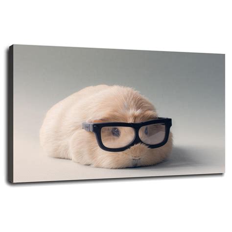 Funny Animals With Glasses And Sayings