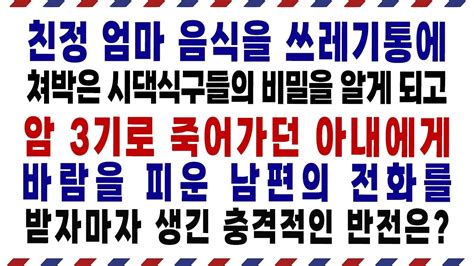 사이다반전사연 친정 엄마 음식을 쓰레기통에 쳐박은 시댁식구들의 비밀과 암 3기로 죽어가던 아내가 남편의 전화를 받자마자 생긴 반전은 Youtube