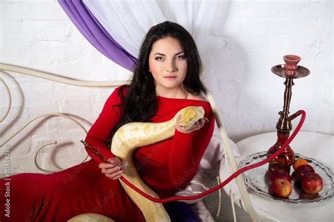 Beautiful Sexy Girl Holding A White Albino Python Stock Photo Adobe Stock