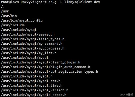 【mysql】c语言连接mysql数据库1——环境配置 Csdn博客