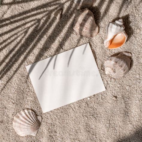 Blank Paper Card Mockup And Sea Shells On Sand Background With Floral
