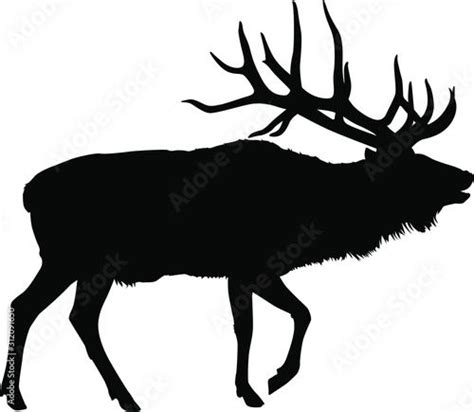 Bull Elk Bugling Silhouette