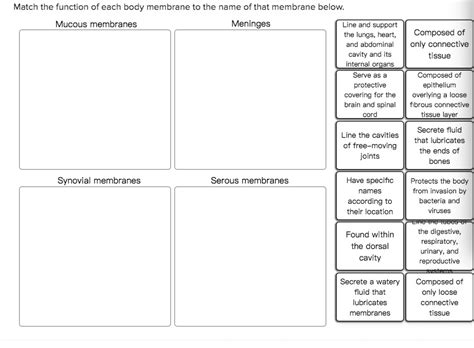 Solved Match The Function Of Each Body Membrane To The Name