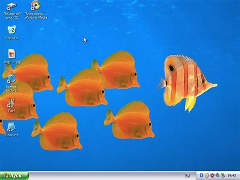Рыбки из Windows Xp Пикабу