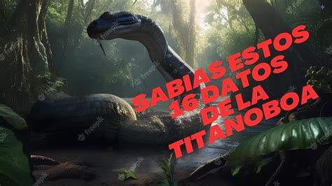 Datos Que Igual Sabias De La Titanoboa Youtube