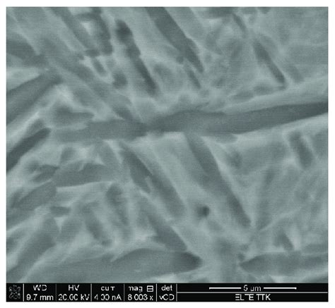 a d sem micrographs showing microstructure of the ht850wc sample at