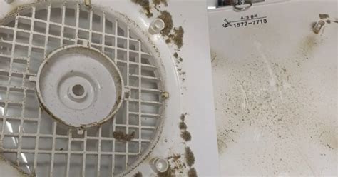 친절하게 설명해주시고 도착하기 한시간전에 전화달라고 부탁드렸는데 전화로 여러번 시간 확인해주시고 청소가 끝나기 전에 전화해주셔서 편했습니다 청소도 깔끔하고 마무리 확인도