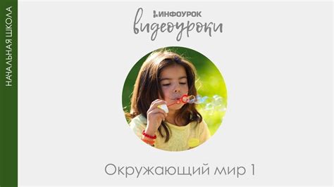 Растения Части растения Окружающий мир 1 класс 23 Инфоурок Youtube