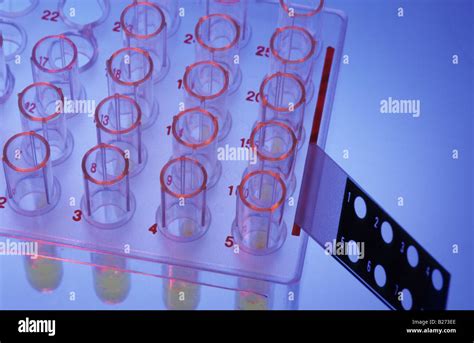 GLASS SLIDE AND TEST TUBES Stock Photo Alamy