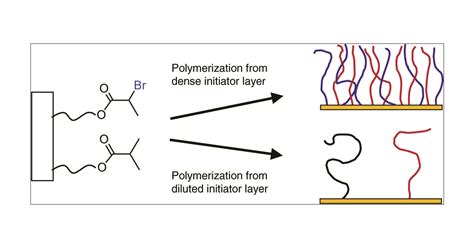 Control Of The Density Of Polymer Brushes Prepared By Surface Initiated Atom Transfer Radical