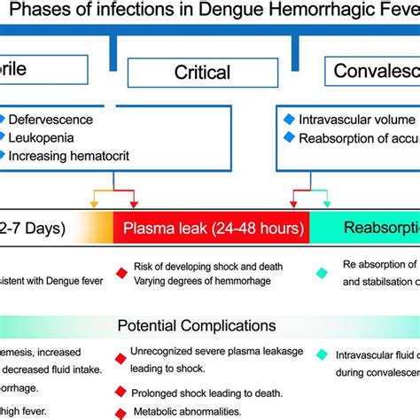 Various Dengue Diagnostic Techniques And Their Clinical Applications