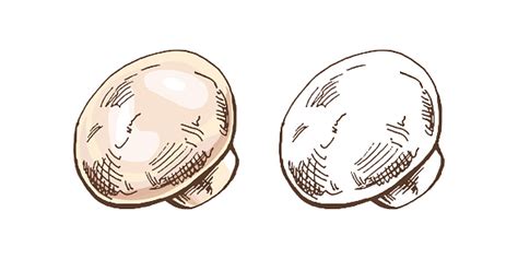 유기농 식품 손으로 그린 색과 흑백 벡터 스케치 샴 피뇽 낙서 빈티지 일러스트입니다 카페 및 라벨 메뉴 장식 새겨진 이미지 가을에 대한 스톡 벡터 아트 및 기타 이미지