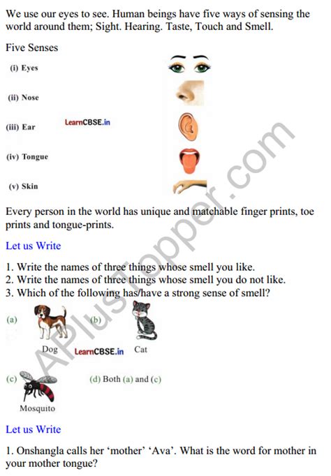 Mridang Class 2 English Worksheet Chapter 4 Seeing Without Seeing A