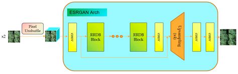 Tree Species Classification In Uav Remote Sensing Images Based On Super Resolution