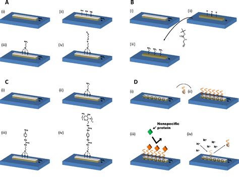 Figure 2 From Silicon Nanowire Field Effect Transistors—a Versatile Class Of Potentiometric