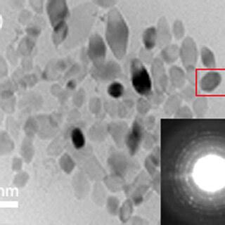 TEM Pictures Of TiO2 Synthesized At 30 MPa And Different Temperatures Download Scientific