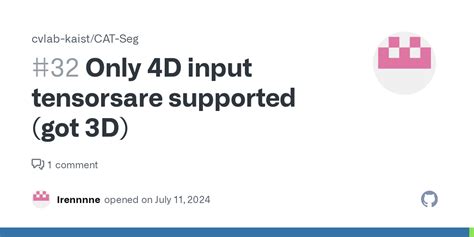 only 4d input tensorsare supported got 3d · issue 32 · cvlab kaist
