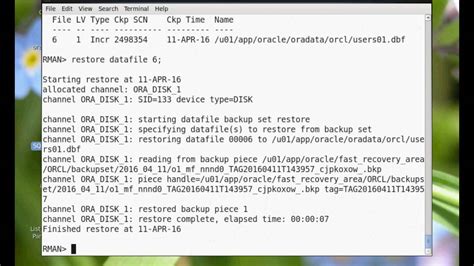 Datafile Recovery YouTube