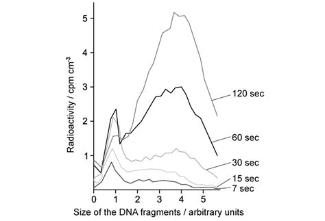Structure Of Nucleic Acids And Replication Of Dna Cie As Biology Exam