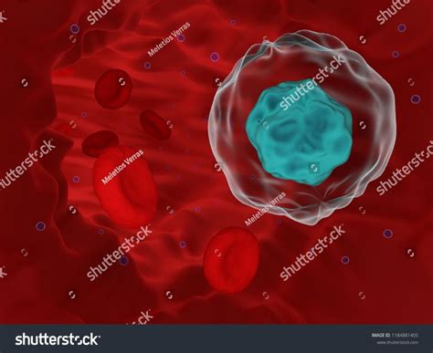 3d Illustration Of Tumor Derived Exosomes That Interact And Inactivate