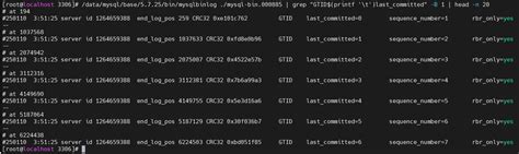 解锁binlog 精准定位 Binlog 文件中最大事务的大小（一）mysqlbinlog 分析事务大小 Csdn博客