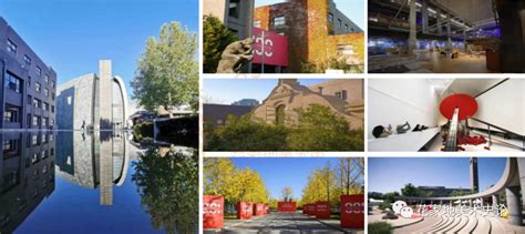 中央美术学院艺术管理与教育学院学情分析 知乎