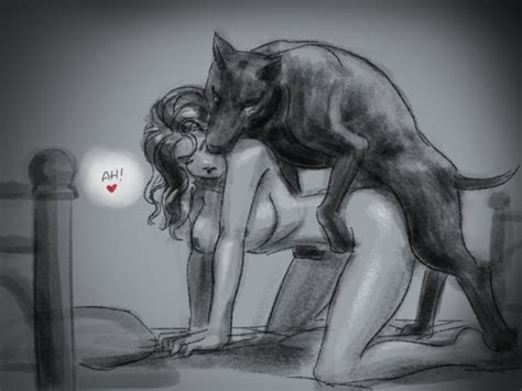 Rule 34 All Fours Bestiality Canine Doggy Style Feral On Female