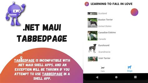 create tabbedpage in maui తెలుగు youtube