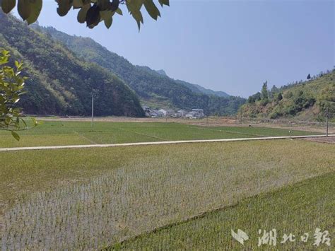 竹山县溢水竹山县县城第10页大山谷图库