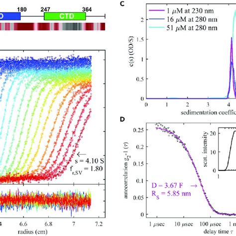 Particle Sizes Of Clusters And Droplets A Dls Autocorrelation