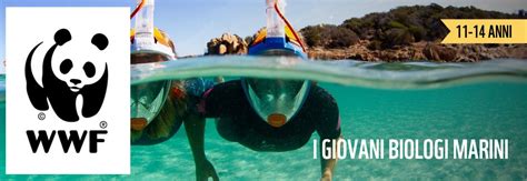 Wwf Al Mare A Palinuro Tra Biologia Marina E Snorkeling Tutto Campi