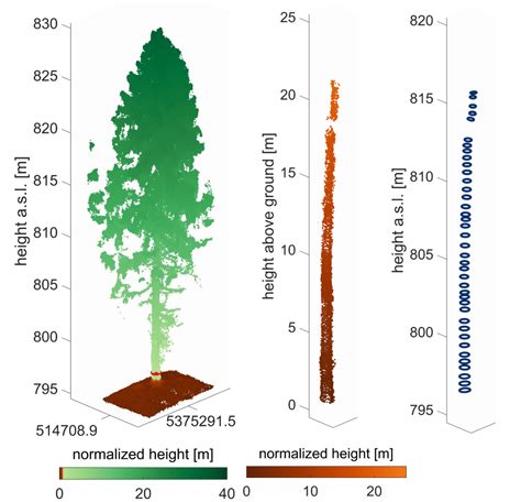 Impact Of Aquisition Patterns On Tree Model Estimation From Uav Lidar Giscience Blog