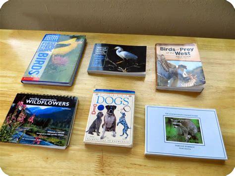 Itty Bitty Love Matching Objects To Pictures